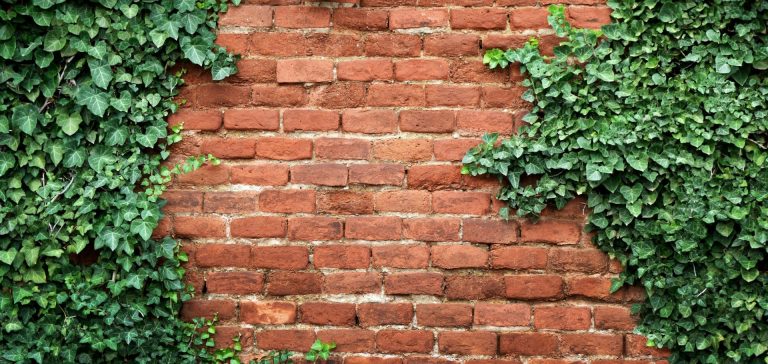 What Causes Mortar to Erode from Brickwork? | Paramount Pointing